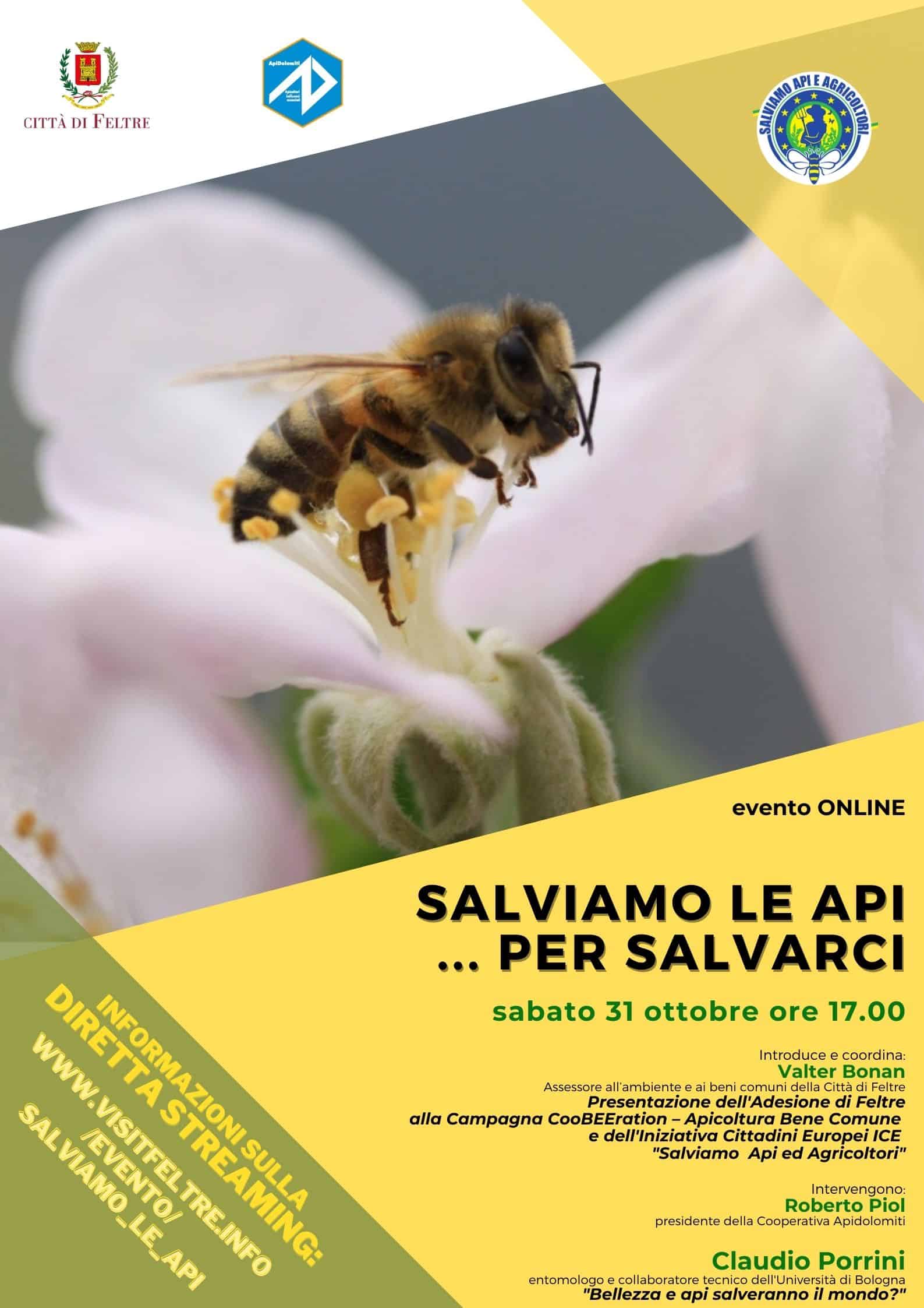 Salviamo le api... per salvarci. - Visit Feltre